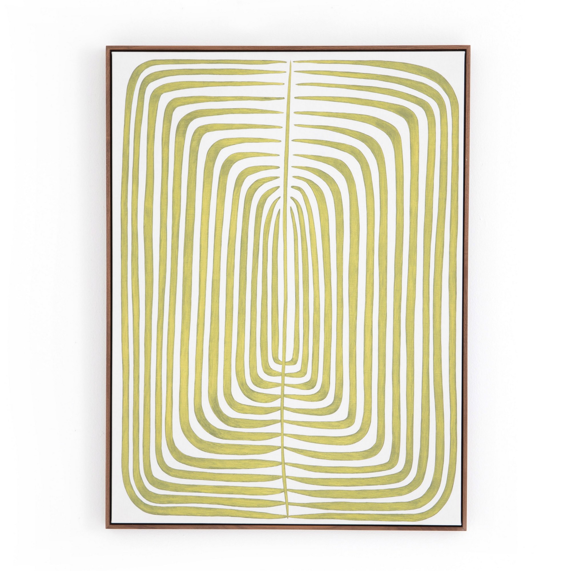 Polypodiales By Marianne Hendriks