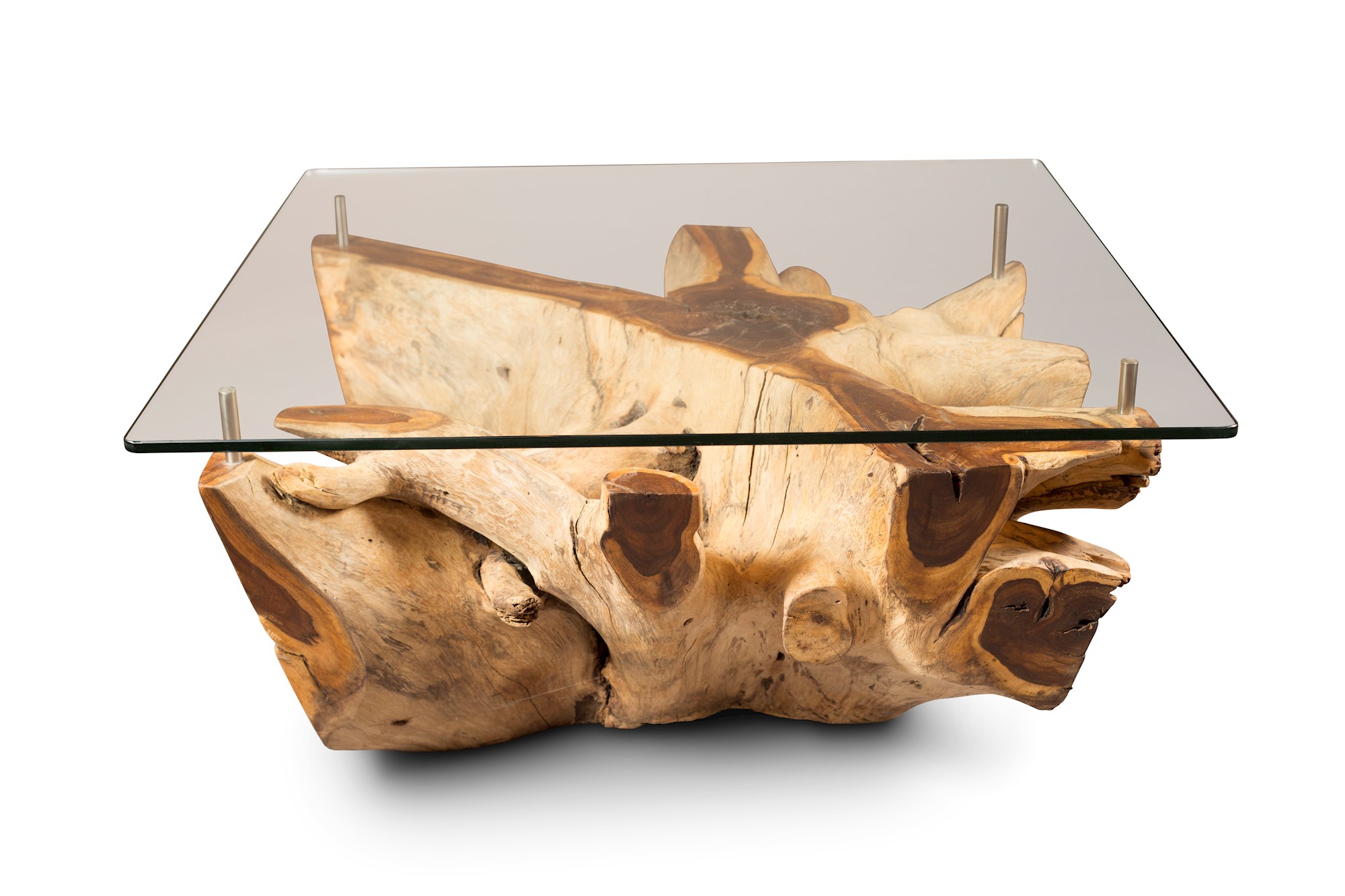 Root w Glass Coffee Table In Chamcha
